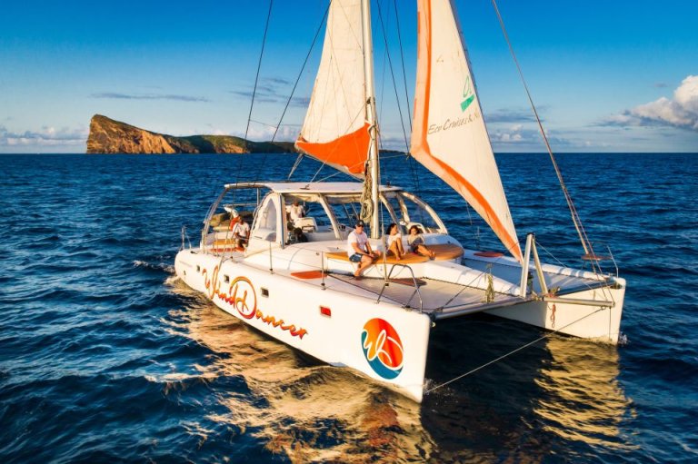 TOP 5 Excursions en bateau à l'île Maurice | Guide 2026