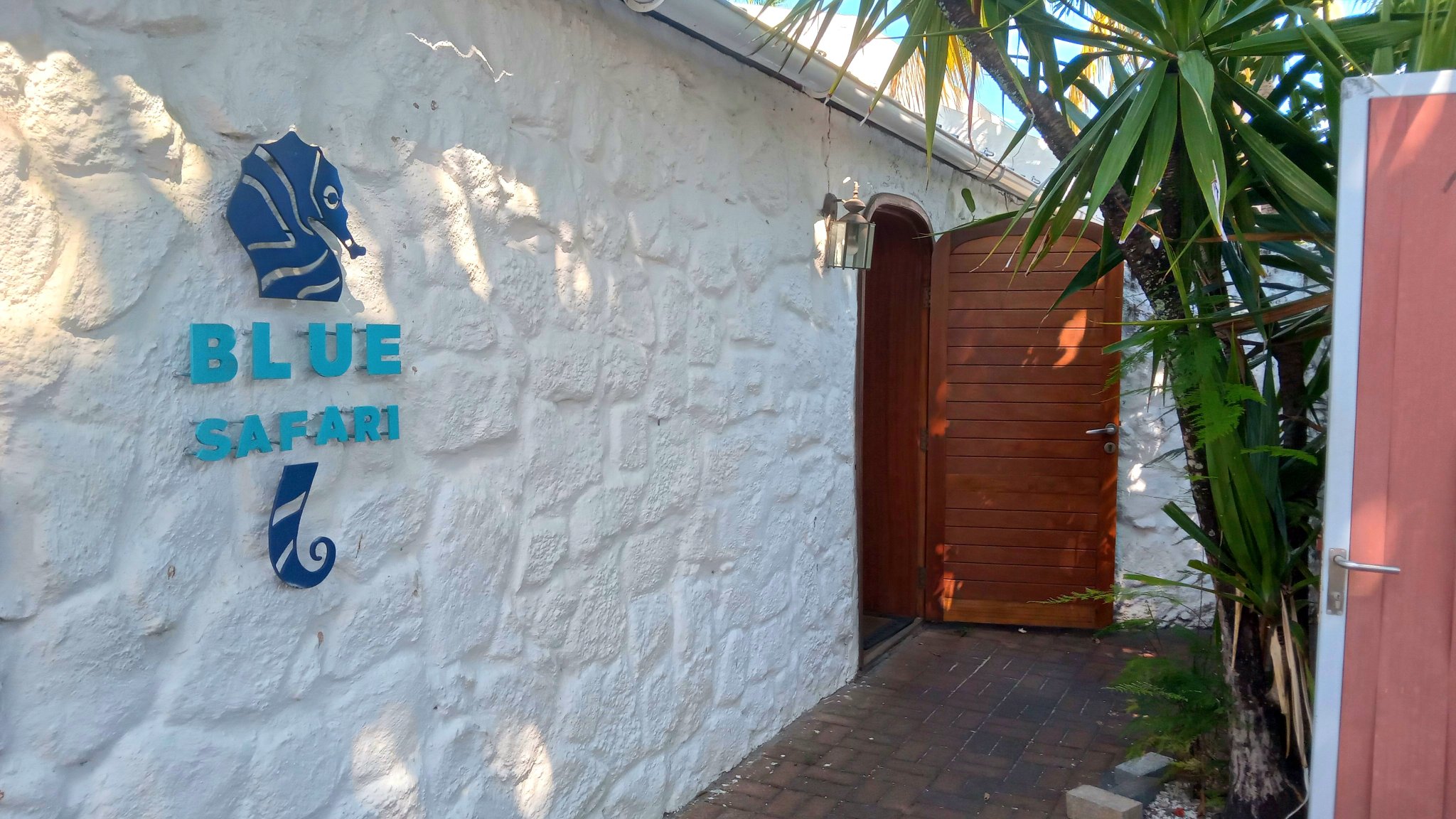Submarine Excursion in Mauritius: Prices, Reviews and Tips 2026