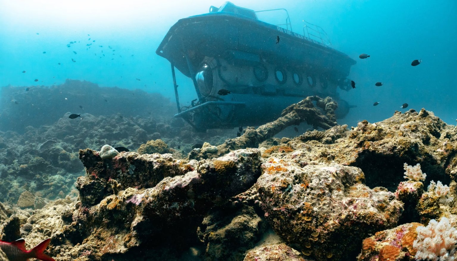 Submarine Excursion in Mauritius: Prices, Reviews and Tips 2026