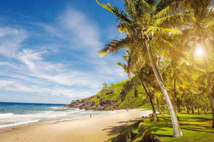 Saint-Pierre (La Réunion) : Que faire et voir ? | Guide 2026