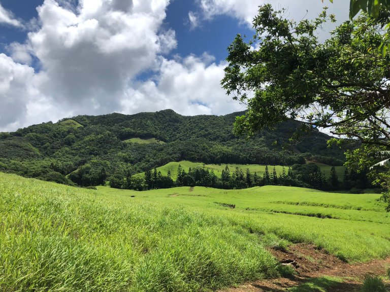 La Vallee de Ferney, Mauritius: Complete Visitor Guide 2026